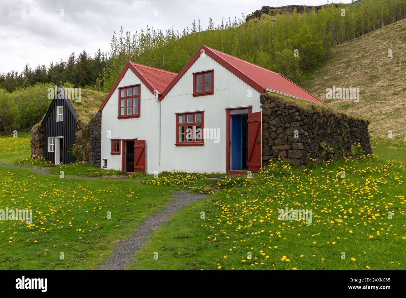 Traditional turf house village in Skogar Open Air Museum, wooden facade ...