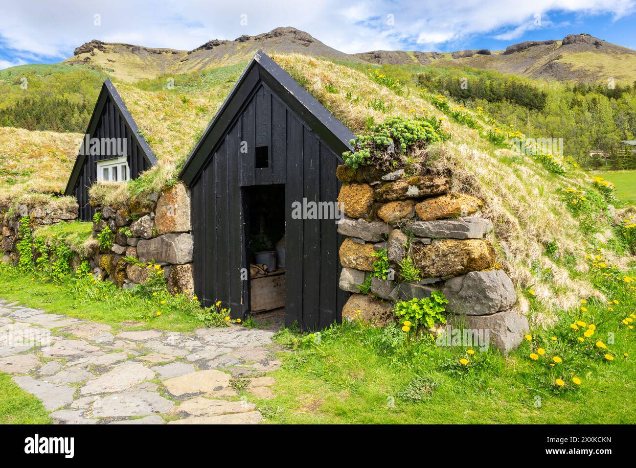 Traditional turf house village in Skogar Open Air Museum, black wooden ...