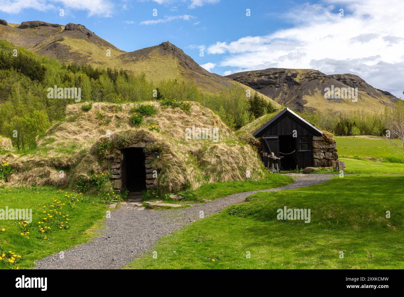 Traditional turf house village in Skogar Open Air Museum, black wooden ...