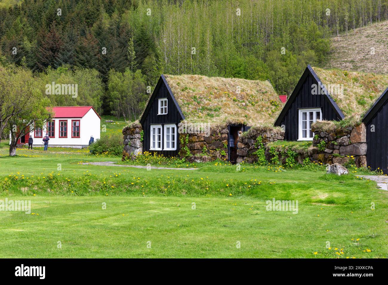 Traditional turf house village in Skogar Open Air Museum, black wooden ...