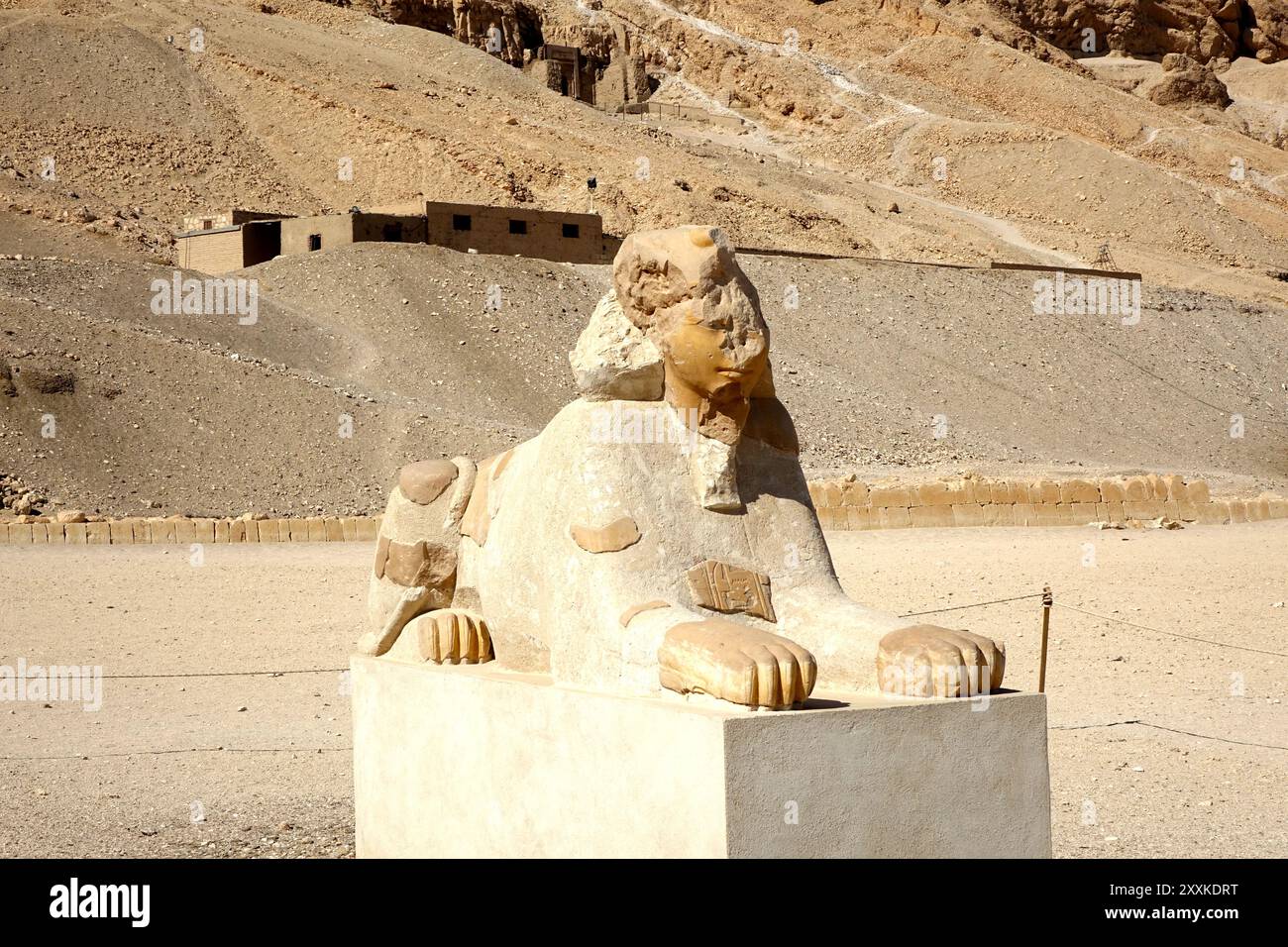 A majestic ancient sphinx statue stands guard at the Mortuary Temple of ...