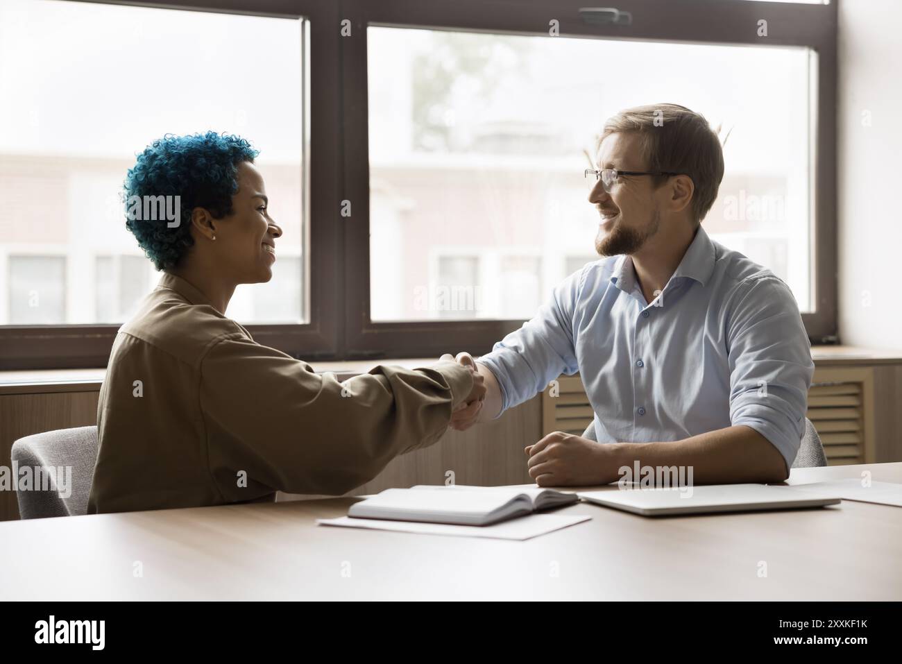 Two business partners conclude agreement, making deal, shaking hands ...