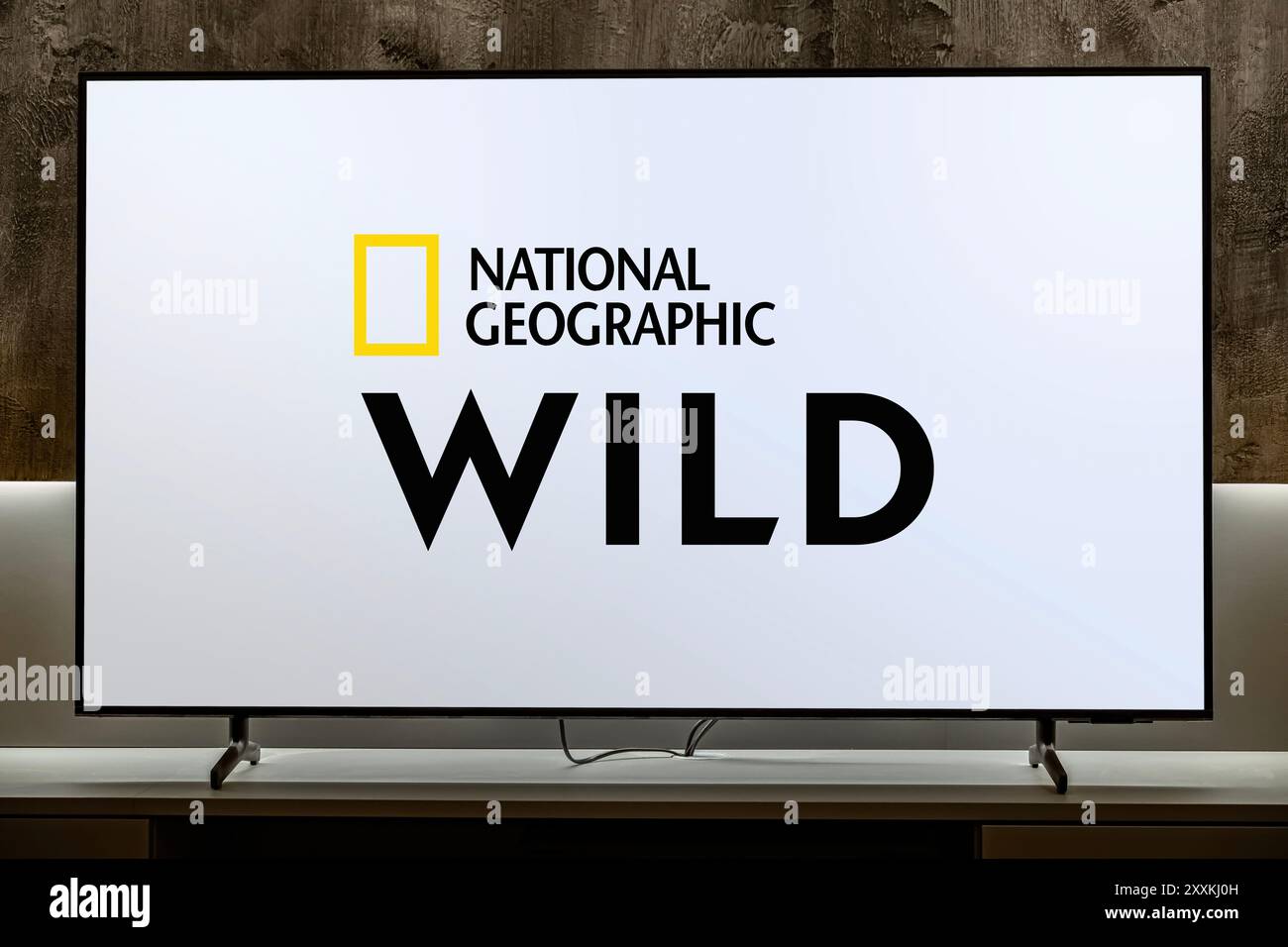 POZNAN, POL - MAR 01, 2024: Flat-screen TV set displaying logo of ...