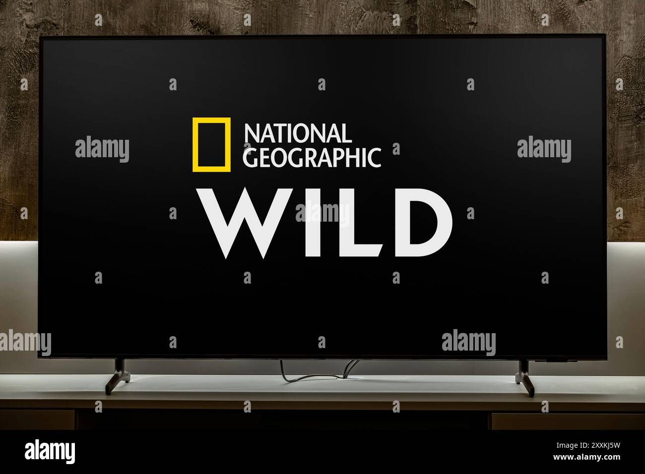 POZNAN, POL - MAR 01, 2024: Flat-screen TV set displaying logo of ...