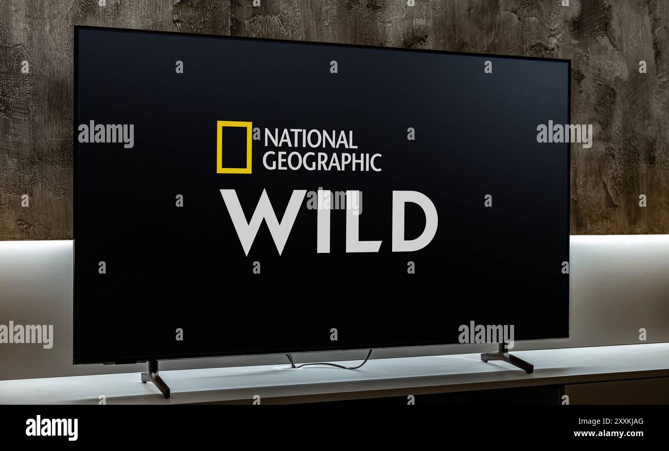 POZNAN, POL - MAR 01, 2024: Flat-screen TV set displaying logo of ...