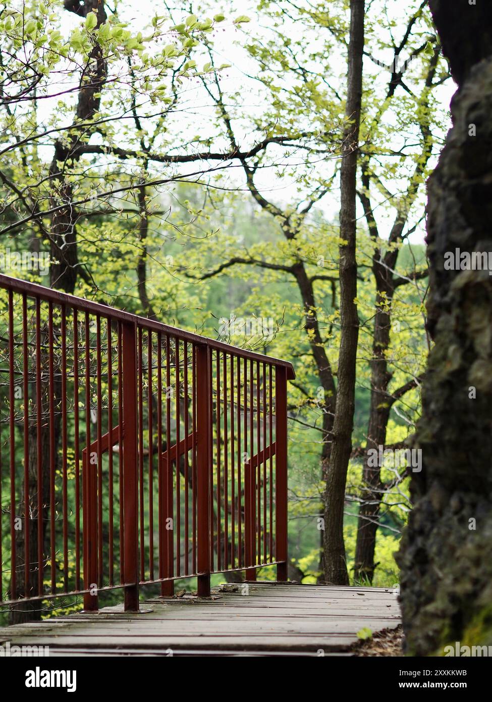 A striking red bridge stands prominently, spanning in the lush green ...
