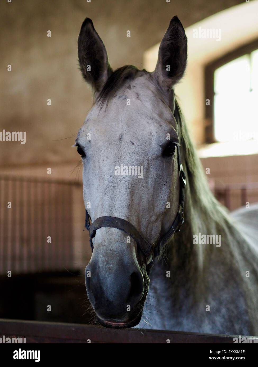 Capturing morning serenity hi-res stock photography and images - Alamy
