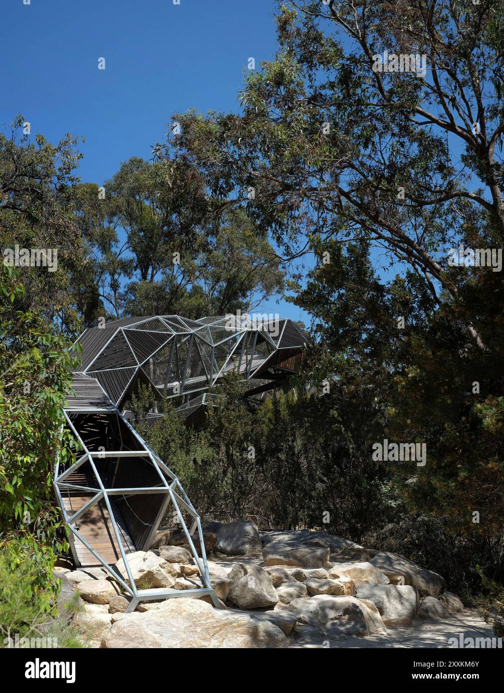 Bush canopy walk at Rio Tinto Naturescape Kings Park, Botanic Garden ...