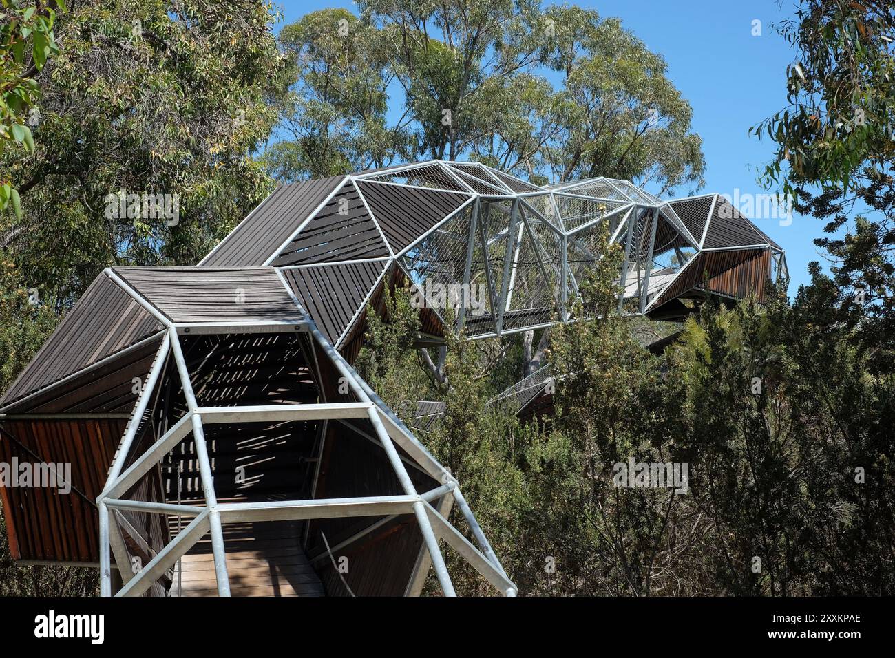 Bush canopy walk at Rio Tinto Naturescape Kings Park, Botanic Garden ...