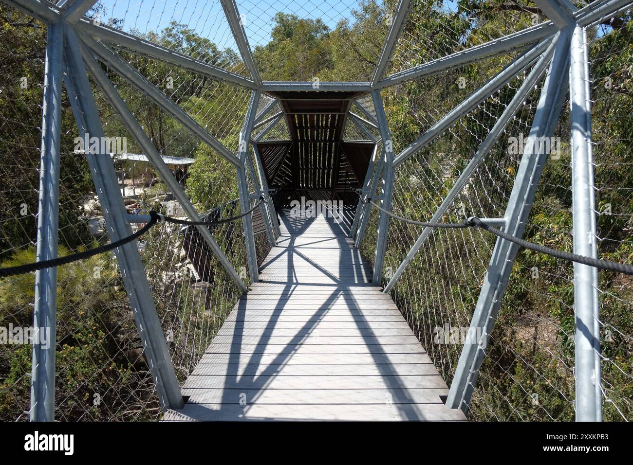 Inside the bush canopy walk at Rio Tinto Naturescape Kings Park ...