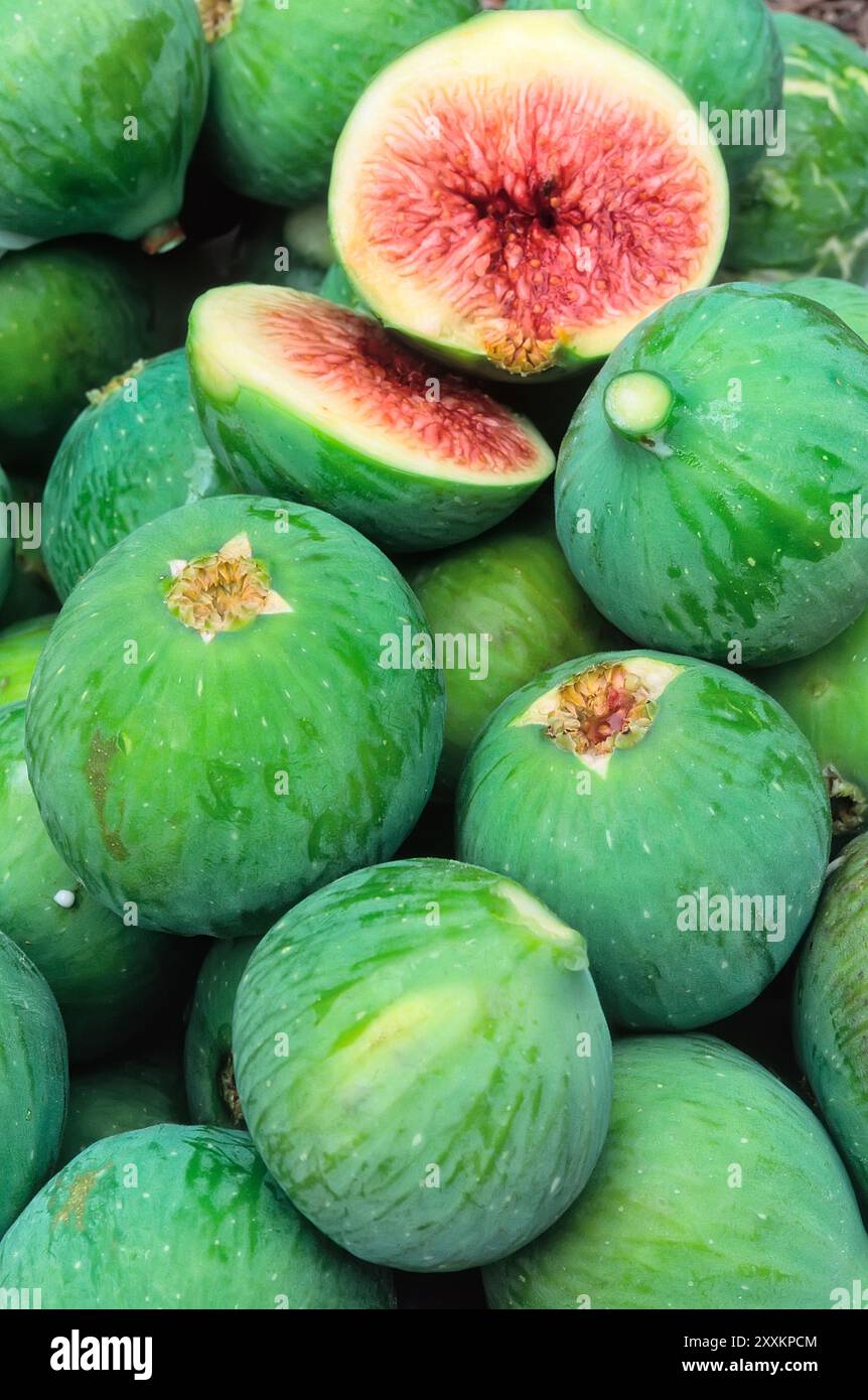 Fig (Ficus carica), Moraceae. Edible fruit, syconium, plant cultivated ...