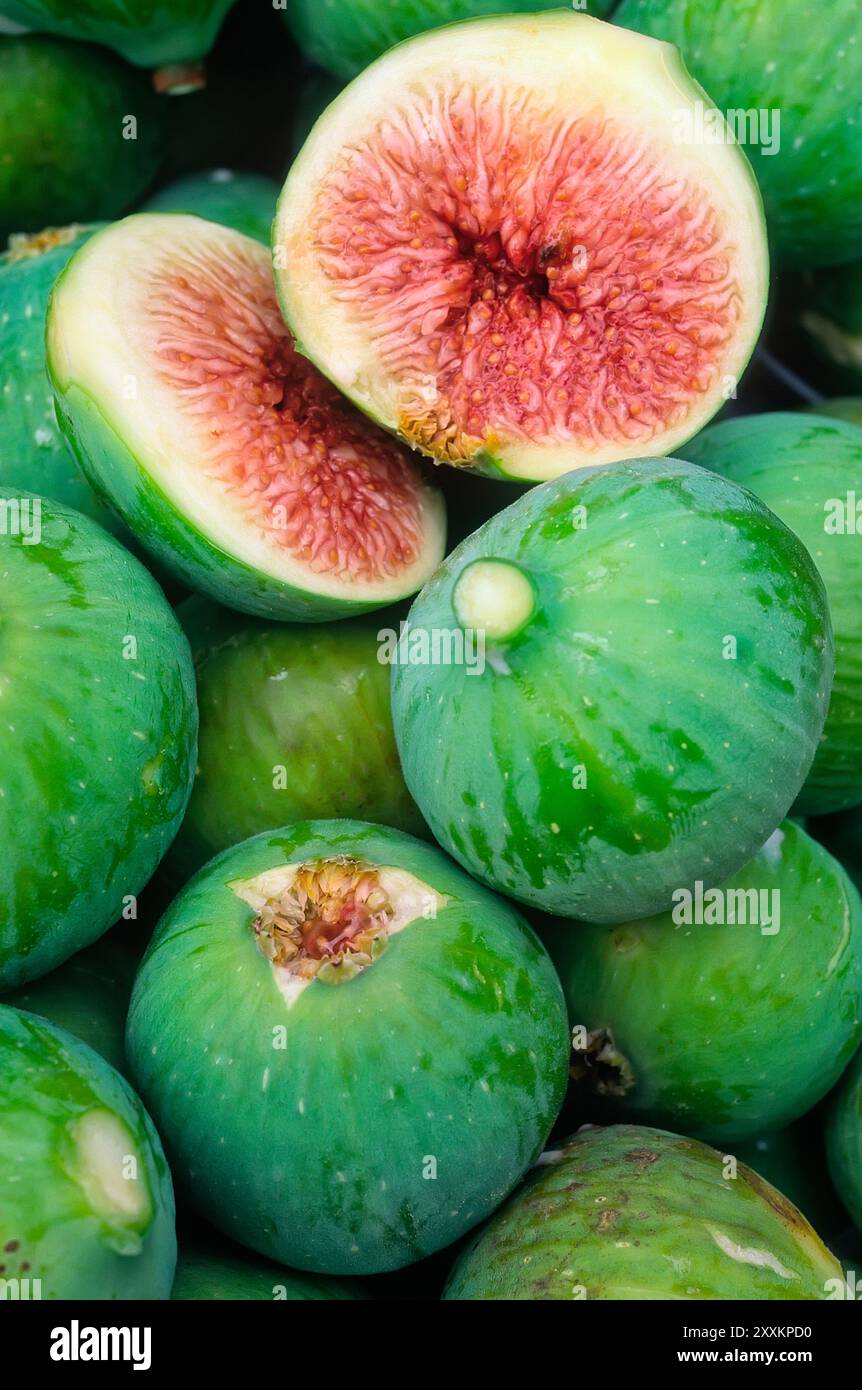 Fig (Ficus carica), Moraceae. Edible fruit, syconium, plant cultivated ...