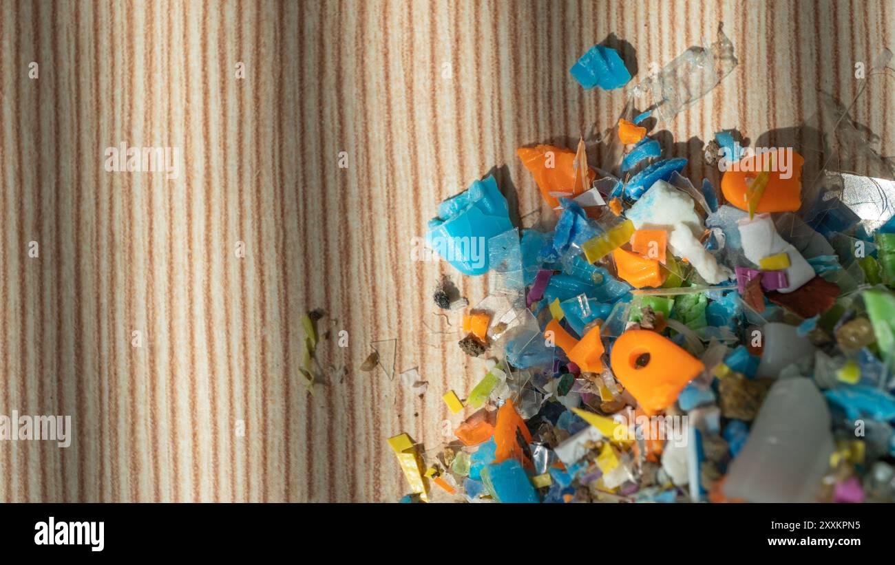 Microplastics collected from the sand on the beach of the Black sea ...