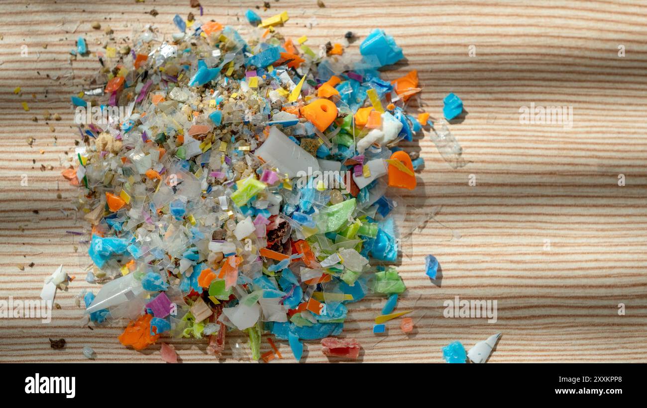 Microplastics collected from the sand on the beach of the Black sea ...