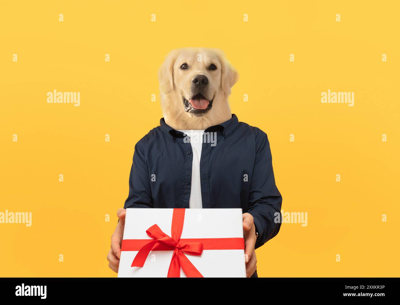 Person Holding a Gift Box With a Golden Retriever Head Stock Photo - Alamy