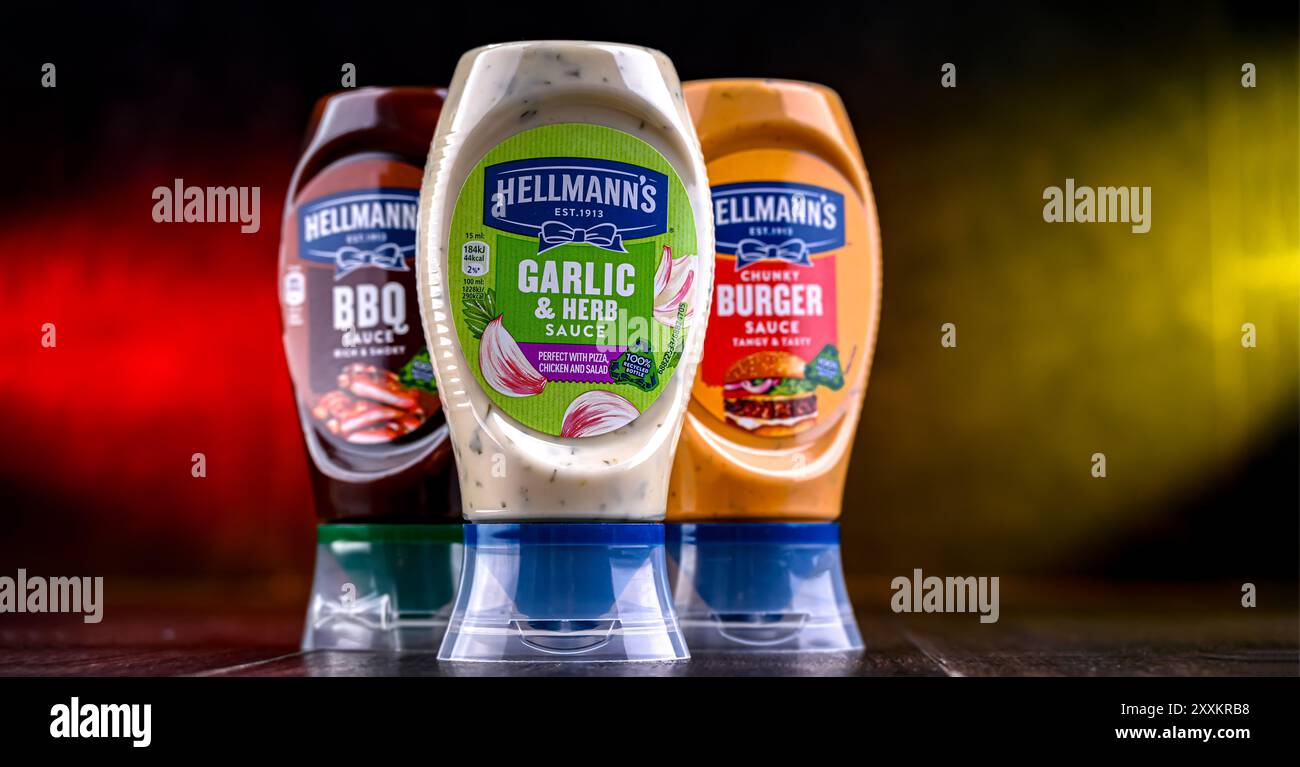 POZNAN, POL - AUG 7, 2024: Hellmann's products, American brand names ...