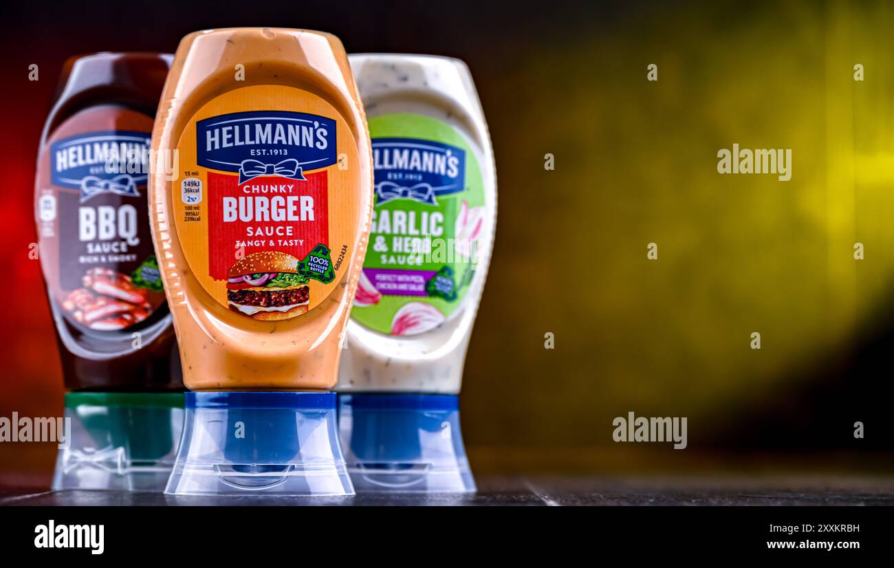POZNAN, POL - AUG 7, 2024: Hellmann's products, American brand names ...