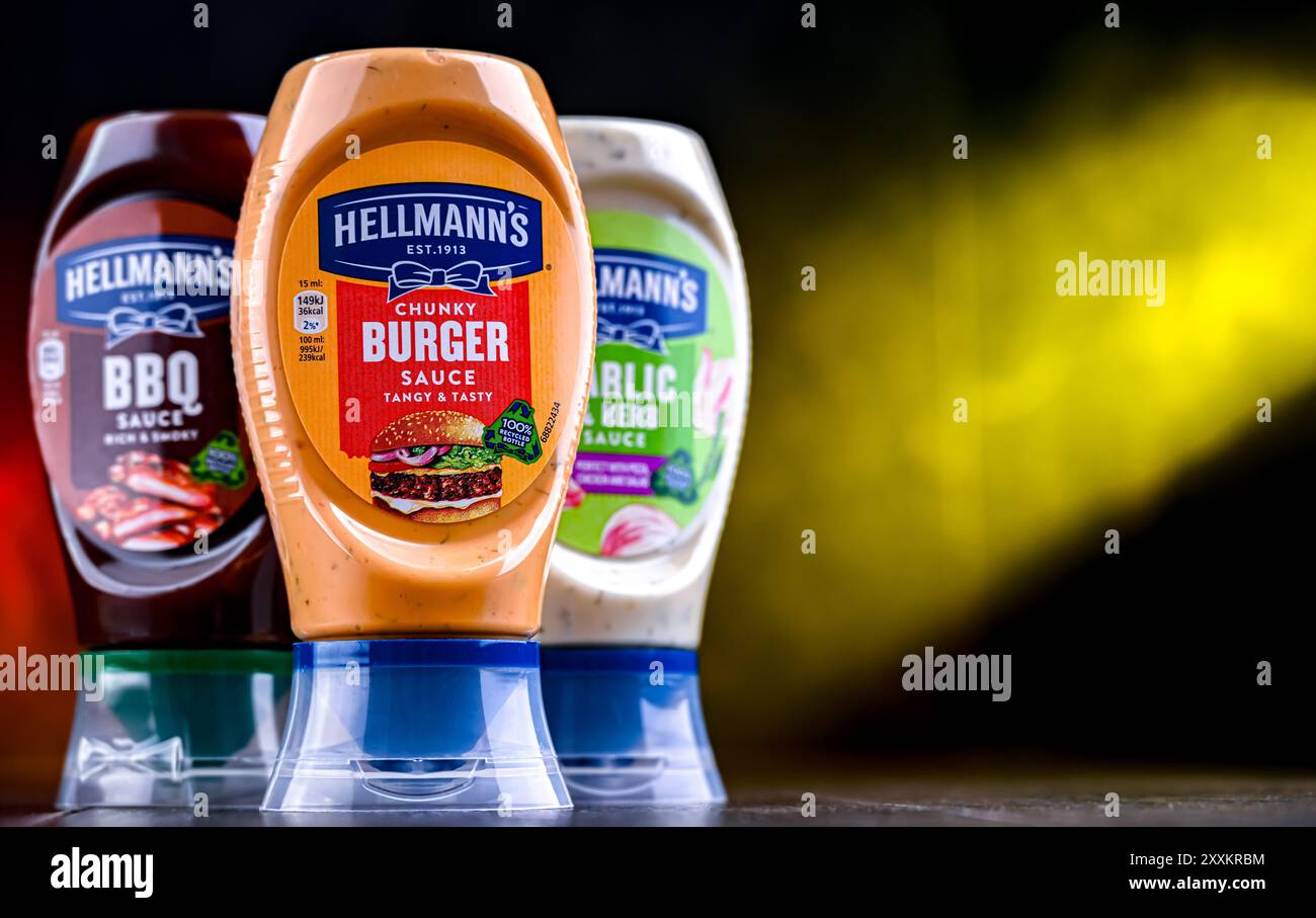 POZNAN, POL - AUG 7, 2024: Hellmann's products, American brand names ...