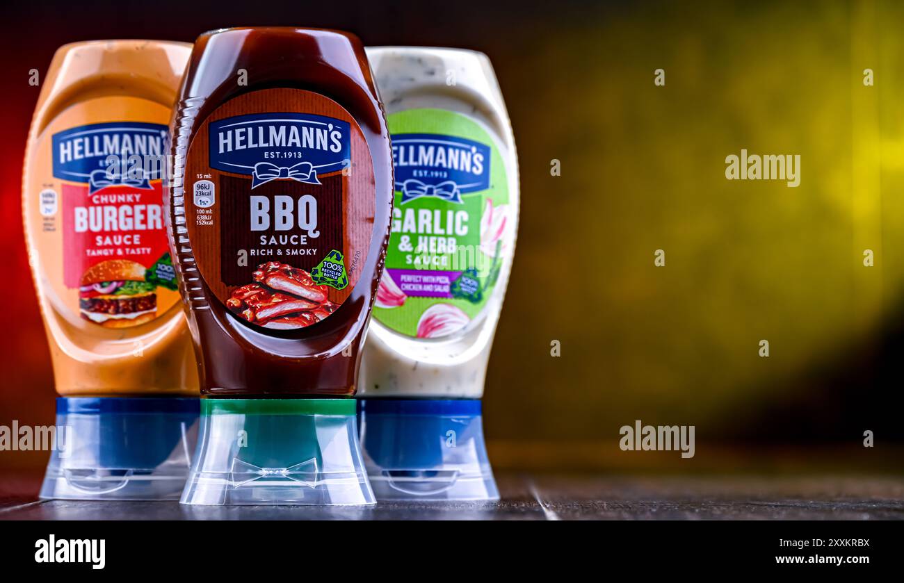 POZNAN, POL - AUG 7, 2024: Hellmann's products, American brand names ...