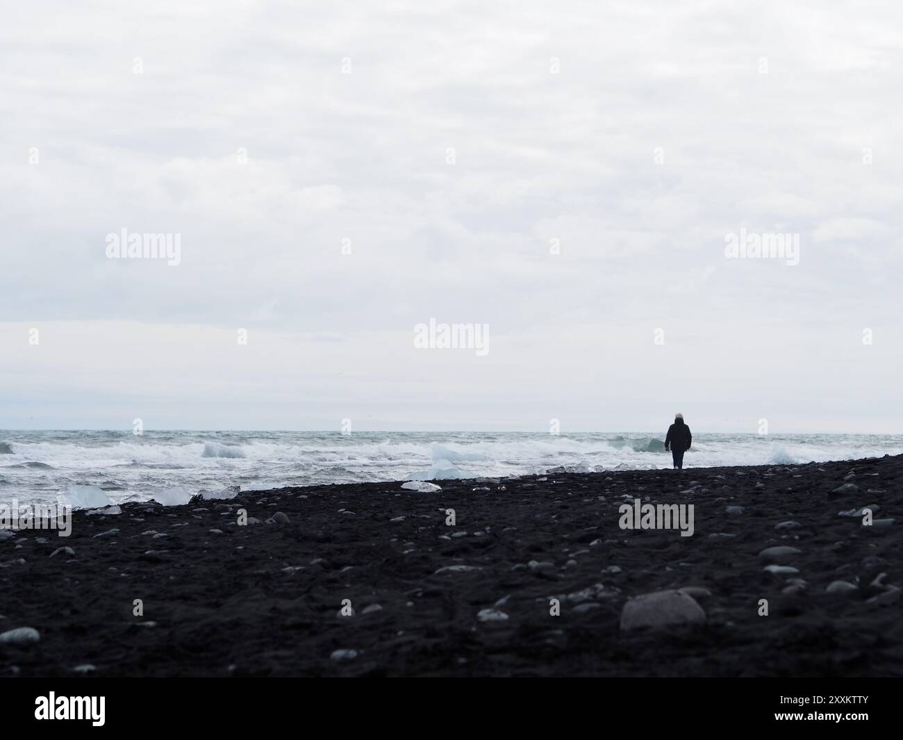 A solitary figure walks along the black sand beach, the dark sands and ...