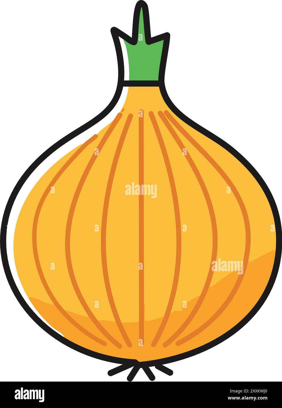 Yellow onion illustration. A simple illustration of a yellow onion, a ...