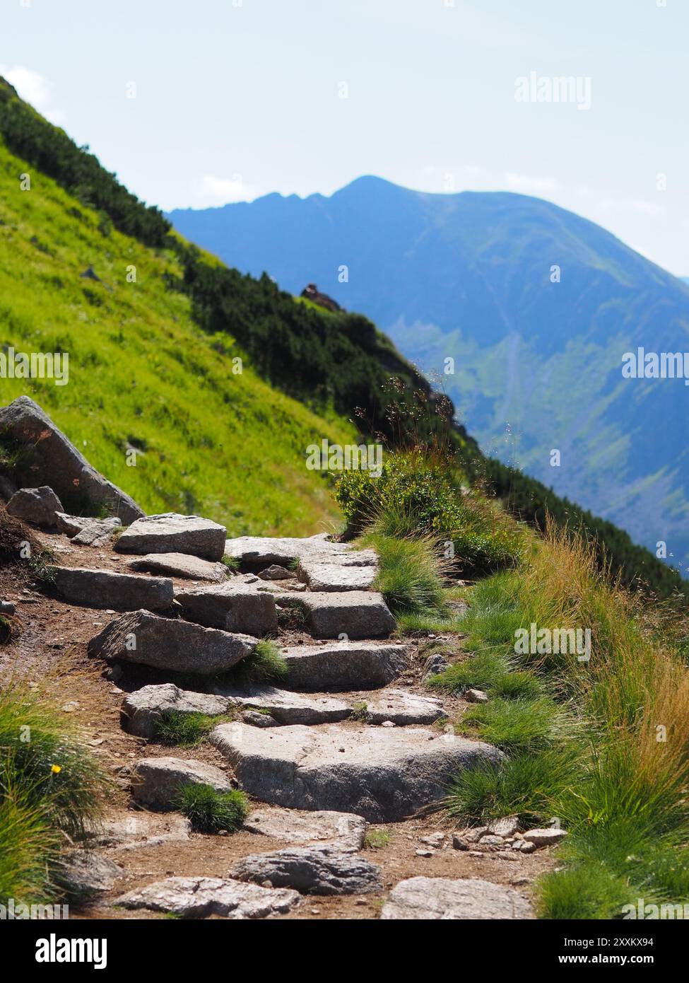 Narrow path up elevation through hi-res stock photography and images ...