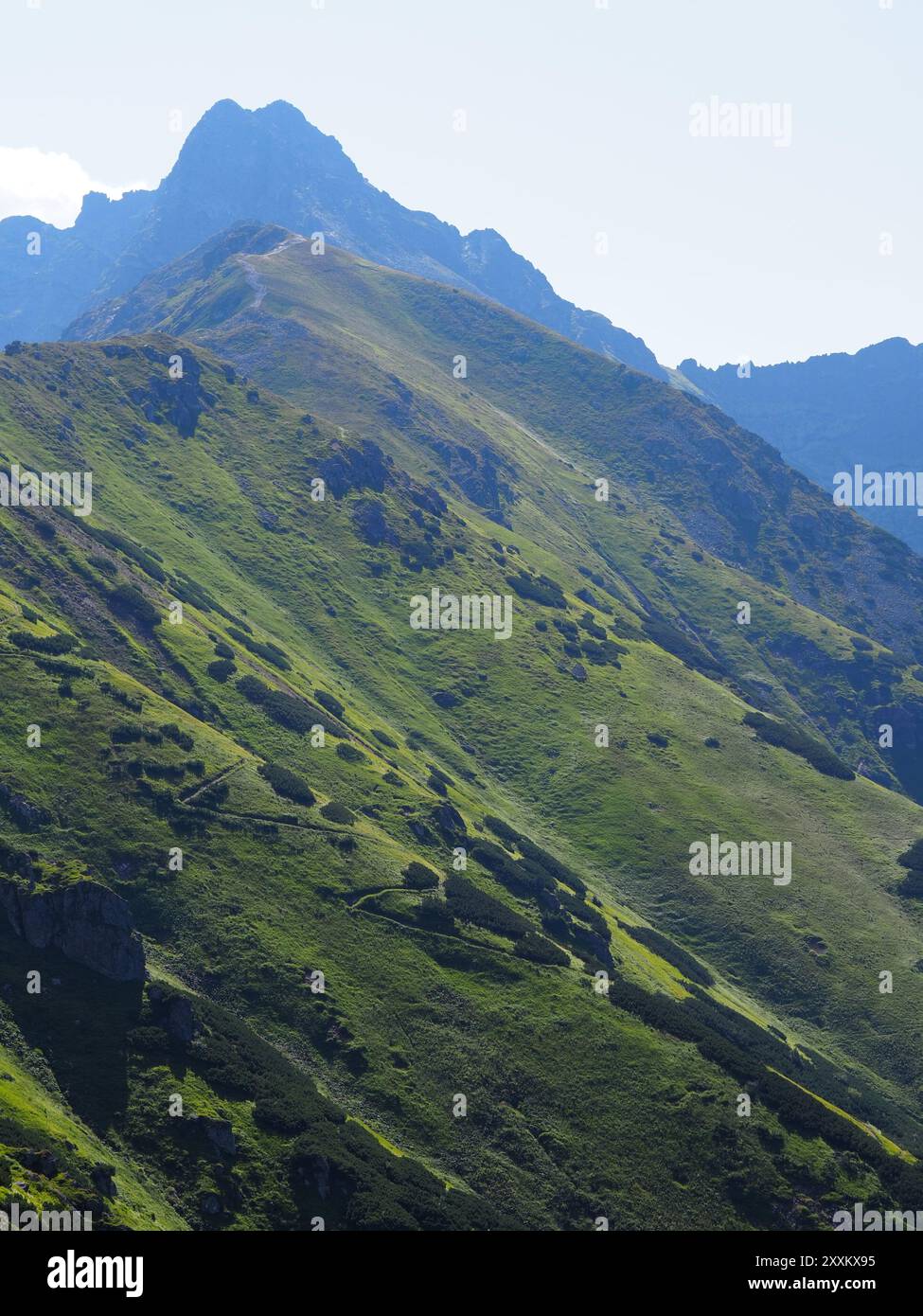 Expansive lush green mountain slopes stretch toward the clear blue sky ...