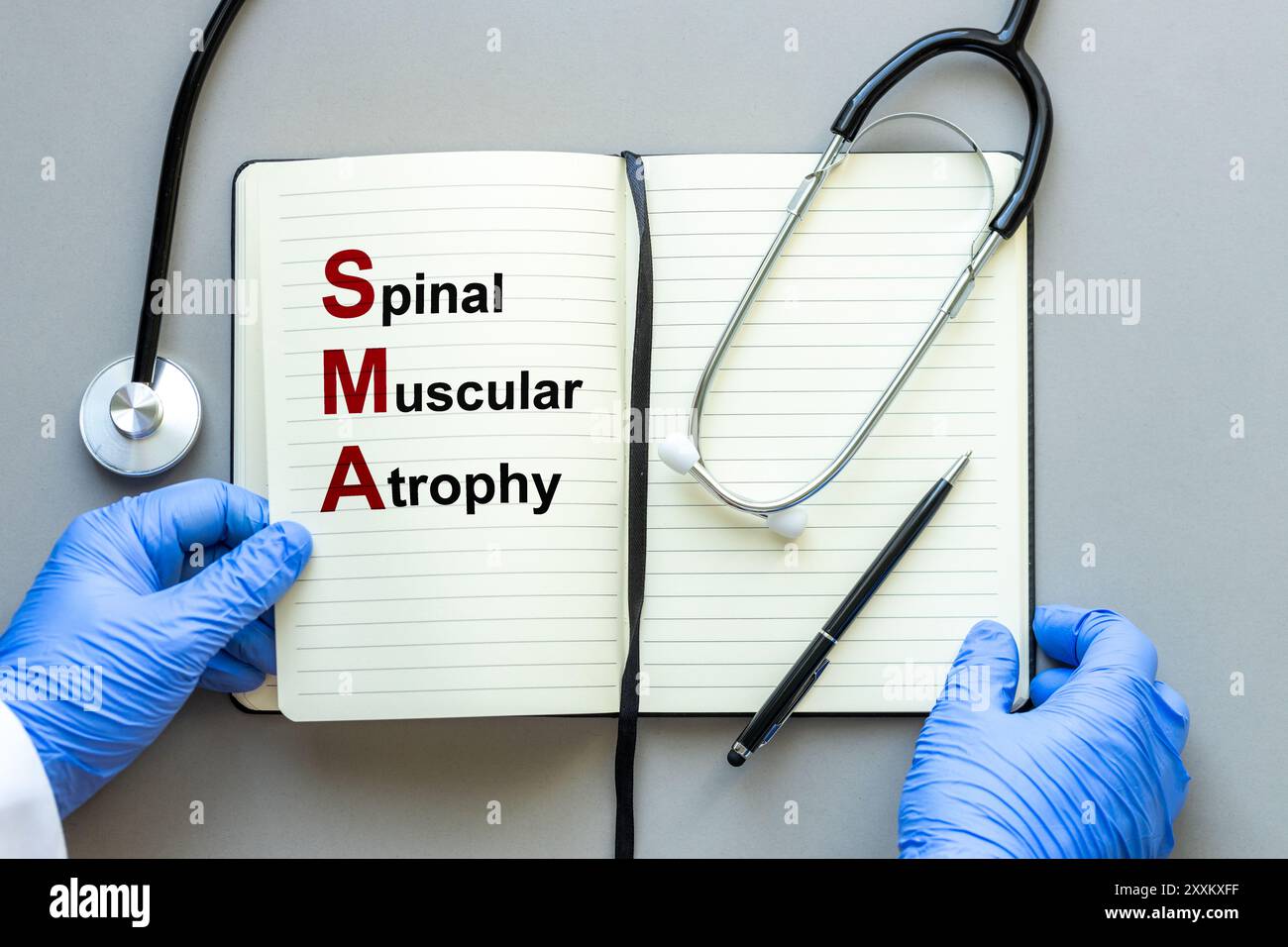 Normal lumbar spinal anatomy hi-res stock photography and images - Alamy