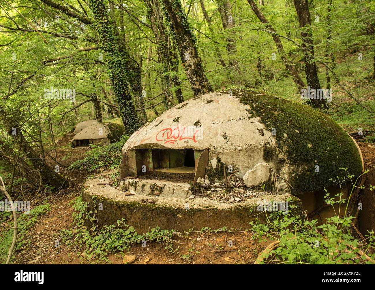 Mount Dajti, Albania - 31st May 2024. Abandoned pillbox bunkers in the ...