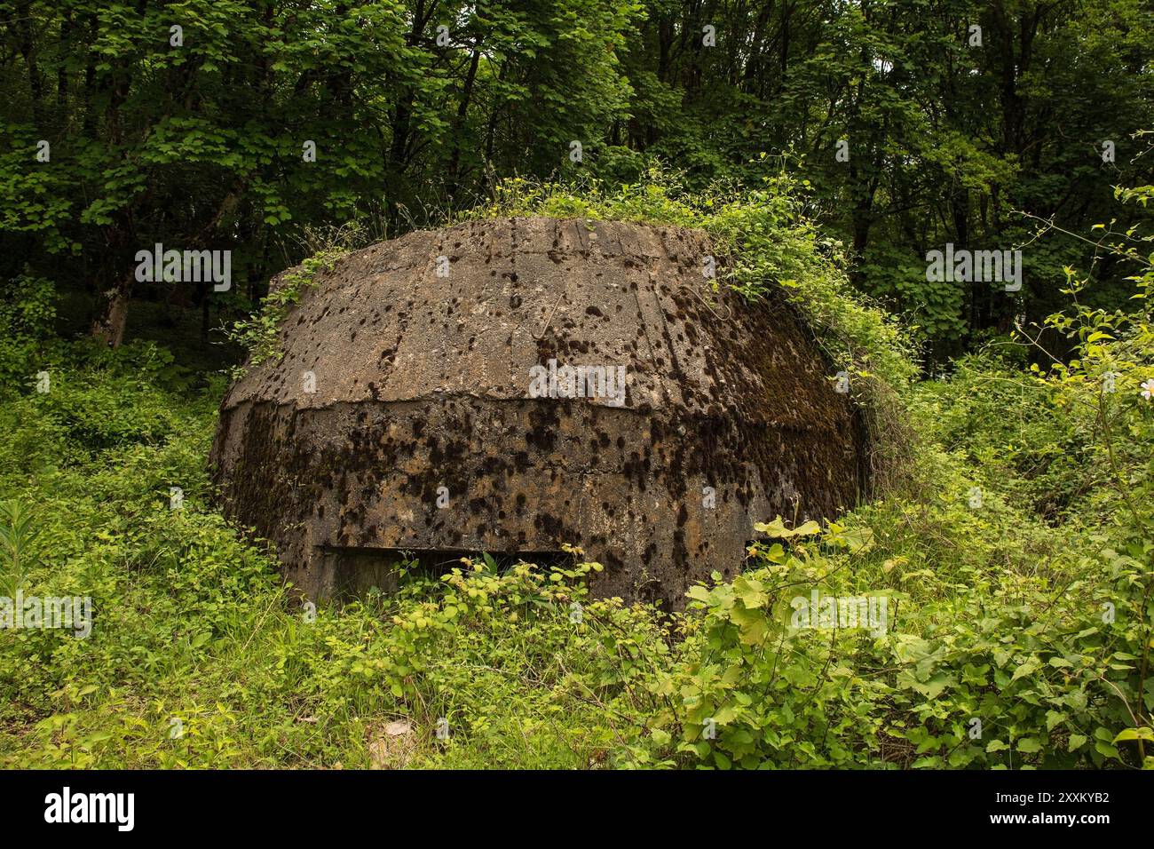 An abandoned pillbox bunker in the forest on Mount Dajti near Tirana in ...