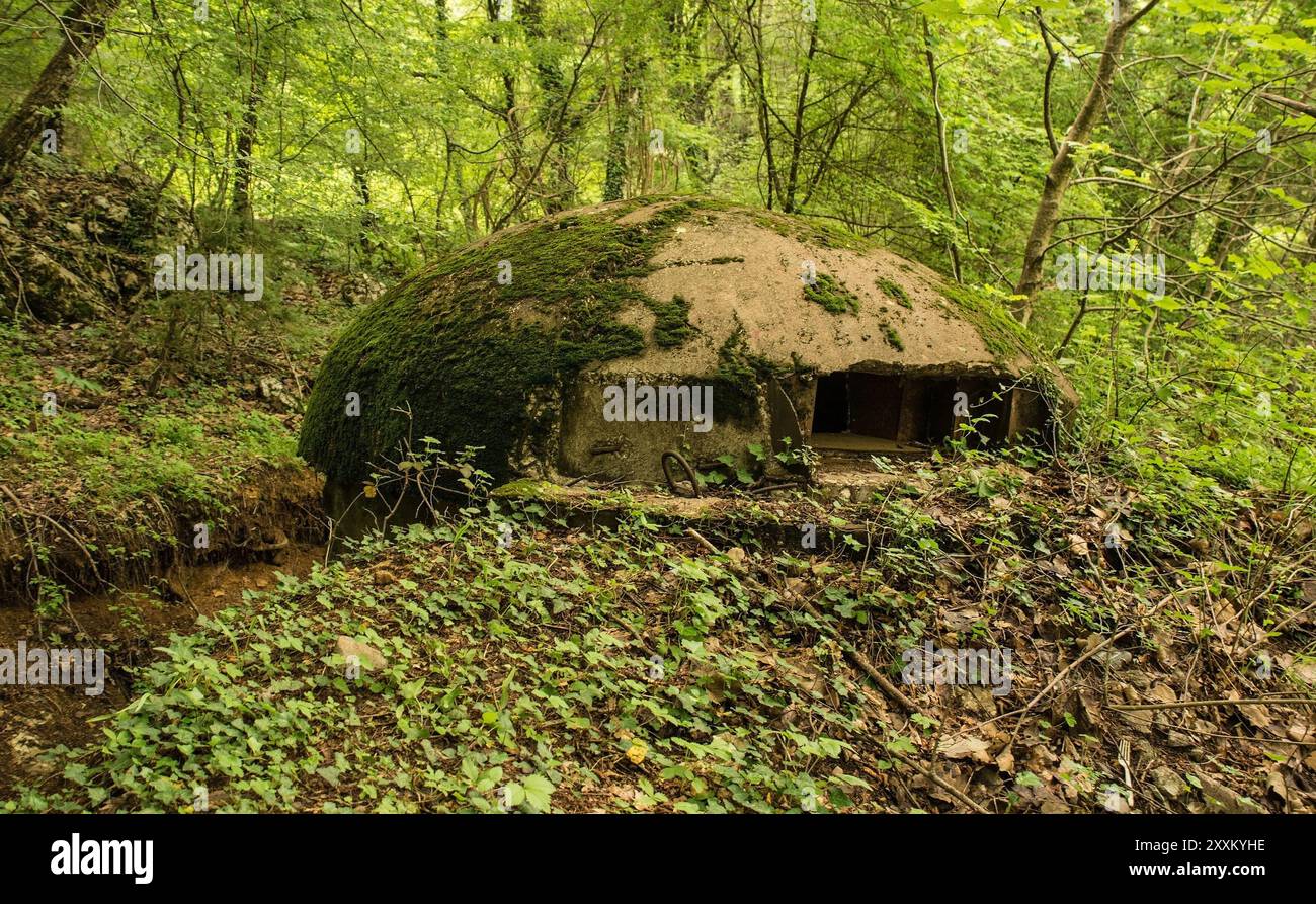 An abandoned pillbox bunker in the forest on Mount Dajti near Tirana in ...