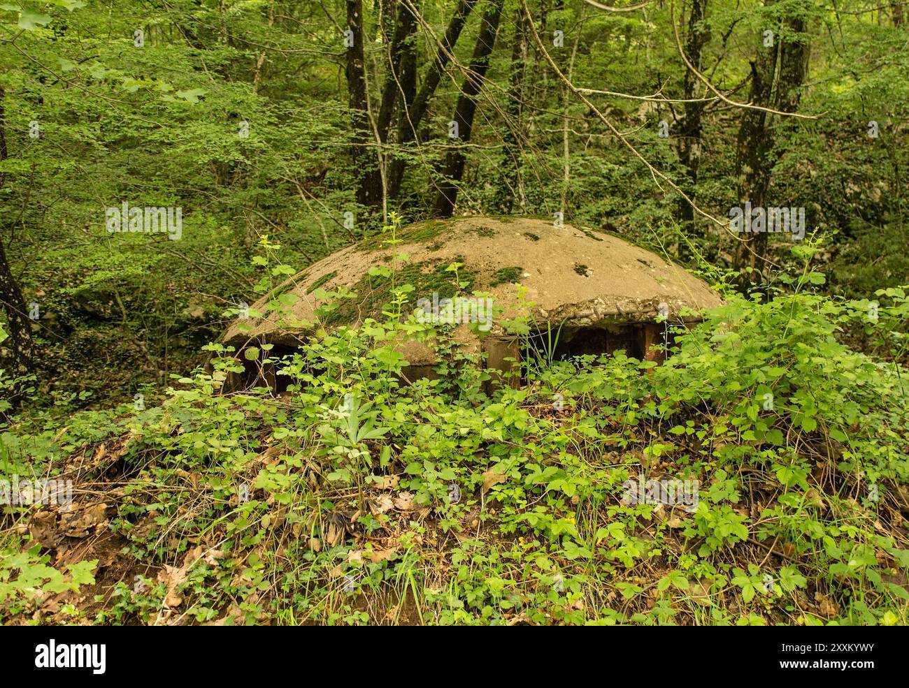Outpost firing hi-res stock photography and images - Alamy