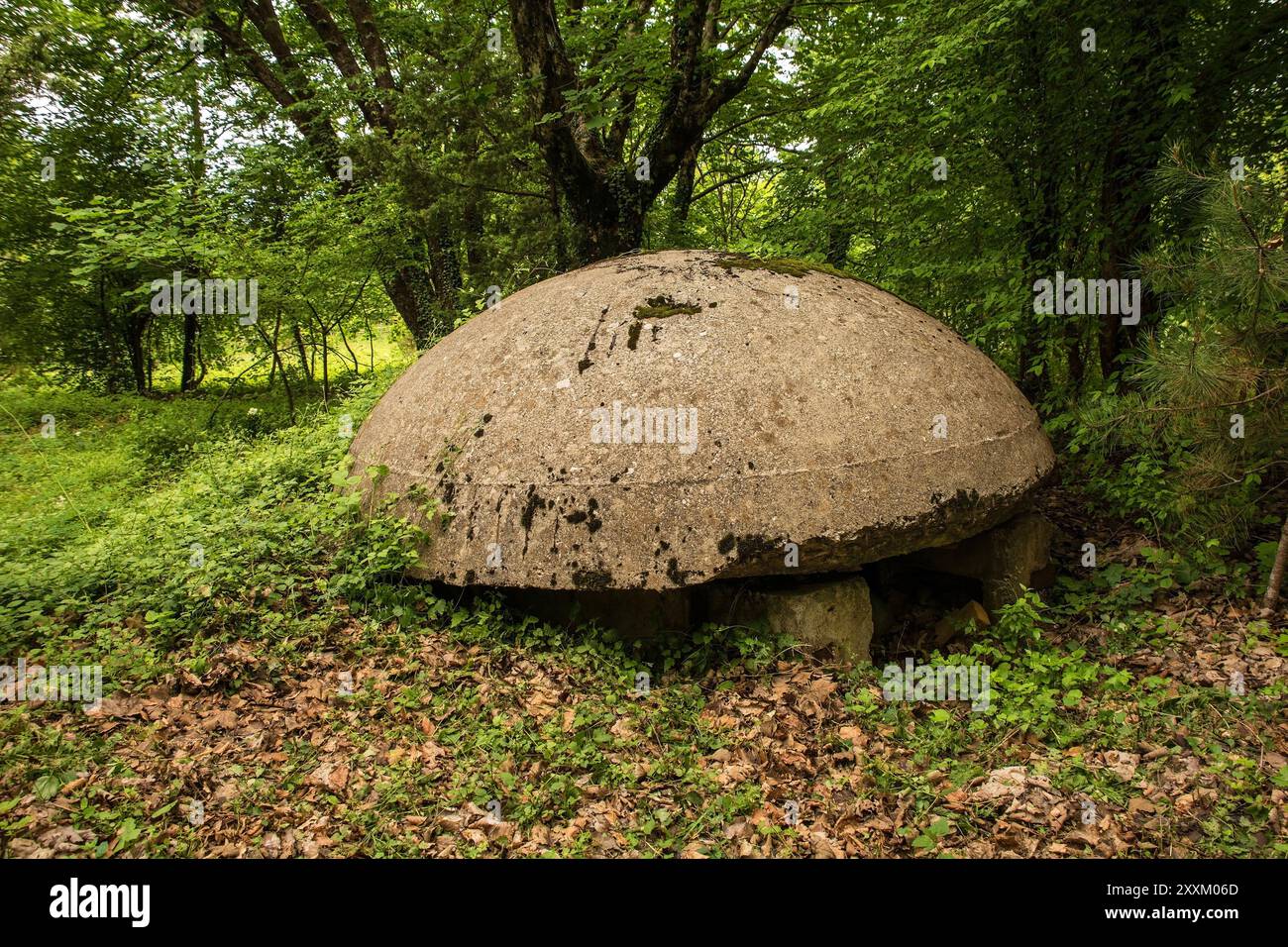 An abandoned pillbox bunker in the forest on Mount Dajti near Tirana in ...
