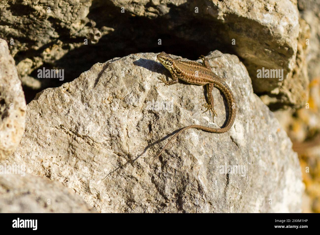 Rubble wall hi-res stock photography and images - Alamy