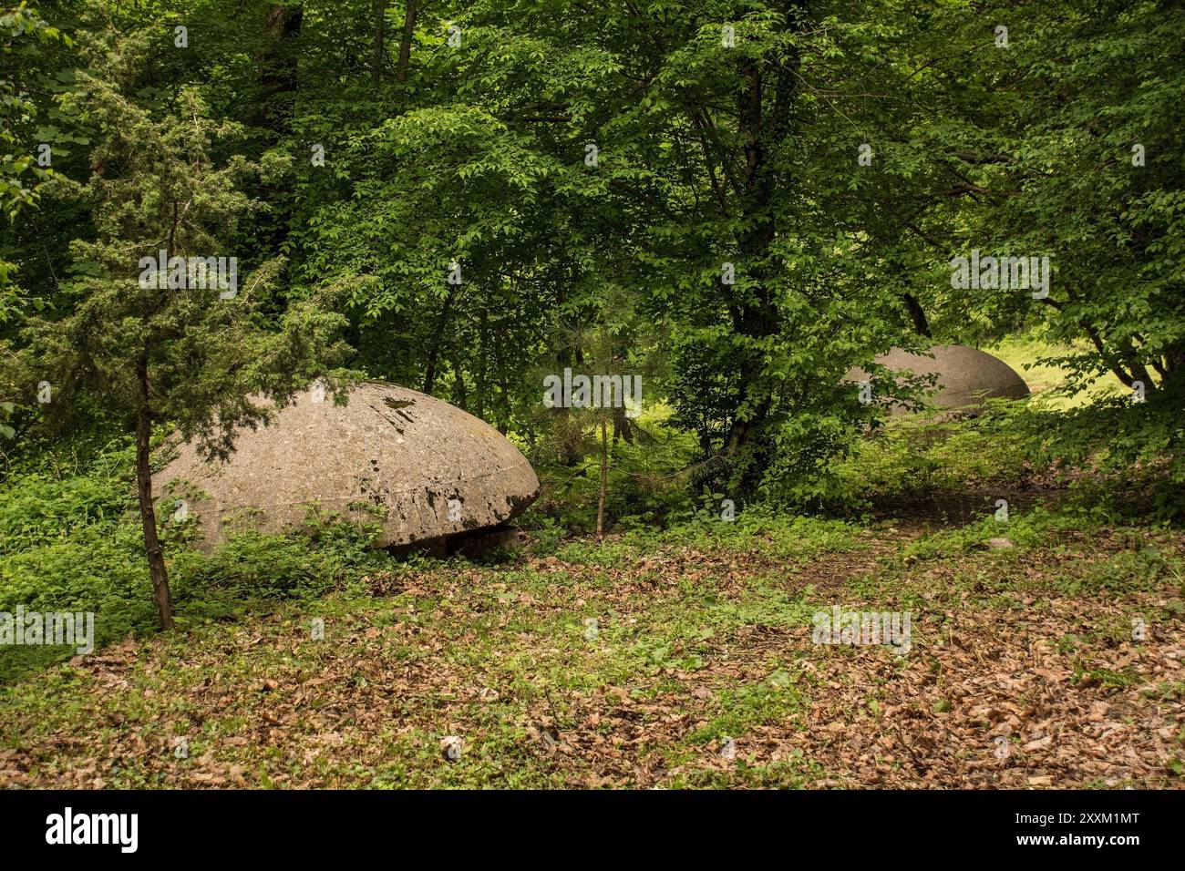Abandoned pillbox bunkers in the forest on Mount Dajti near Tirana in ...