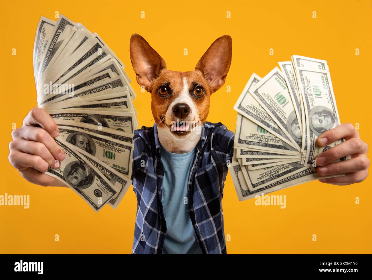 Dog With Human Hands Holding Fanned US Dollar Bills Stock Photo - Alamy