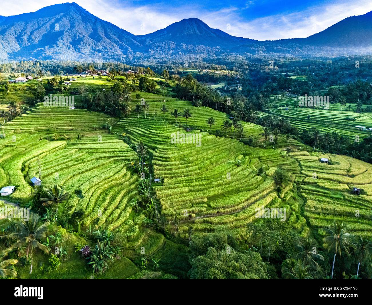 Landscape view of Jatiluwih Rice Terraces in Penebel District, Tabanan Regency, Bali, Indonesia ...