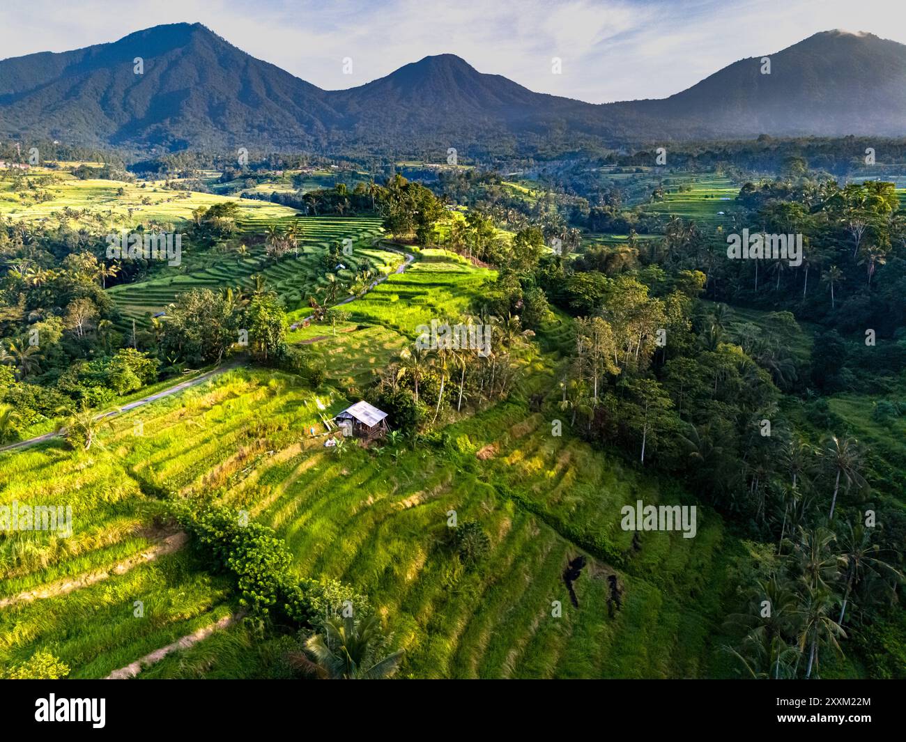 Landscape view of Jatiluwih Rice Terraces in Penebel District, Tabanan Regency, Bali, Indonesia ...