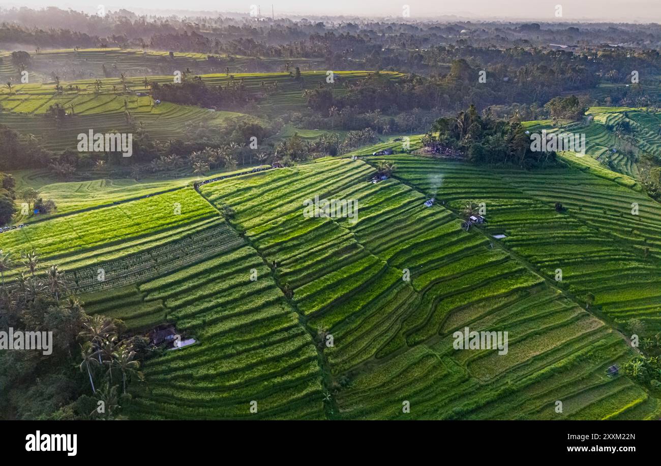 Landscape view of Jatiluwih Rice Terraces in Penebel District, Tabanan Regency, Bali, Indonesia ...