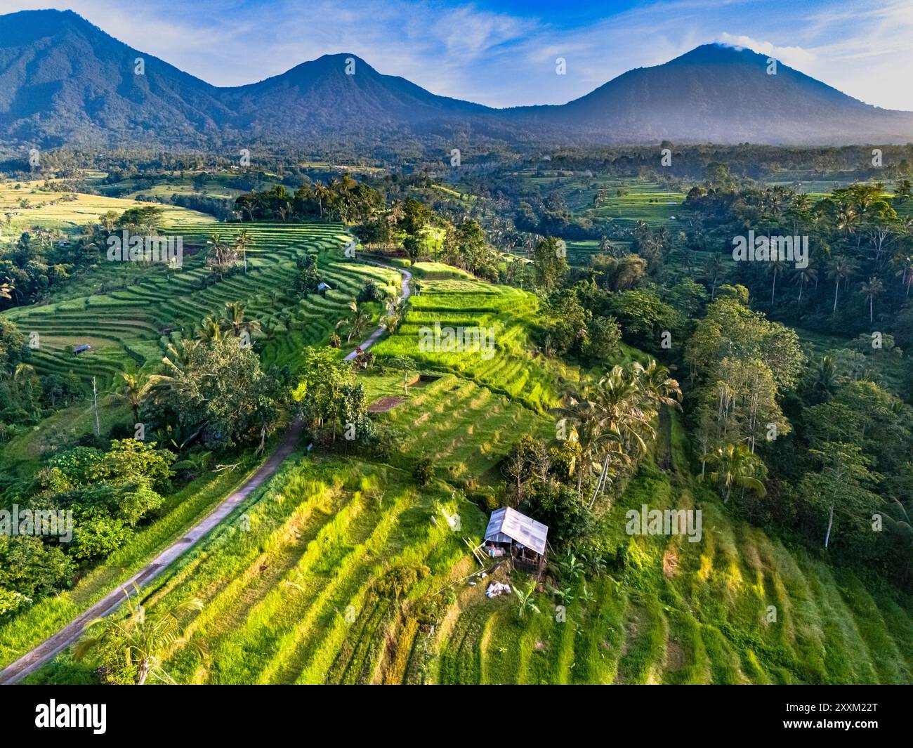 Landscape view of Jatiluwih Rice Terraces in Penebel District, Tabanan Regency, Bali, Indonesia ...
