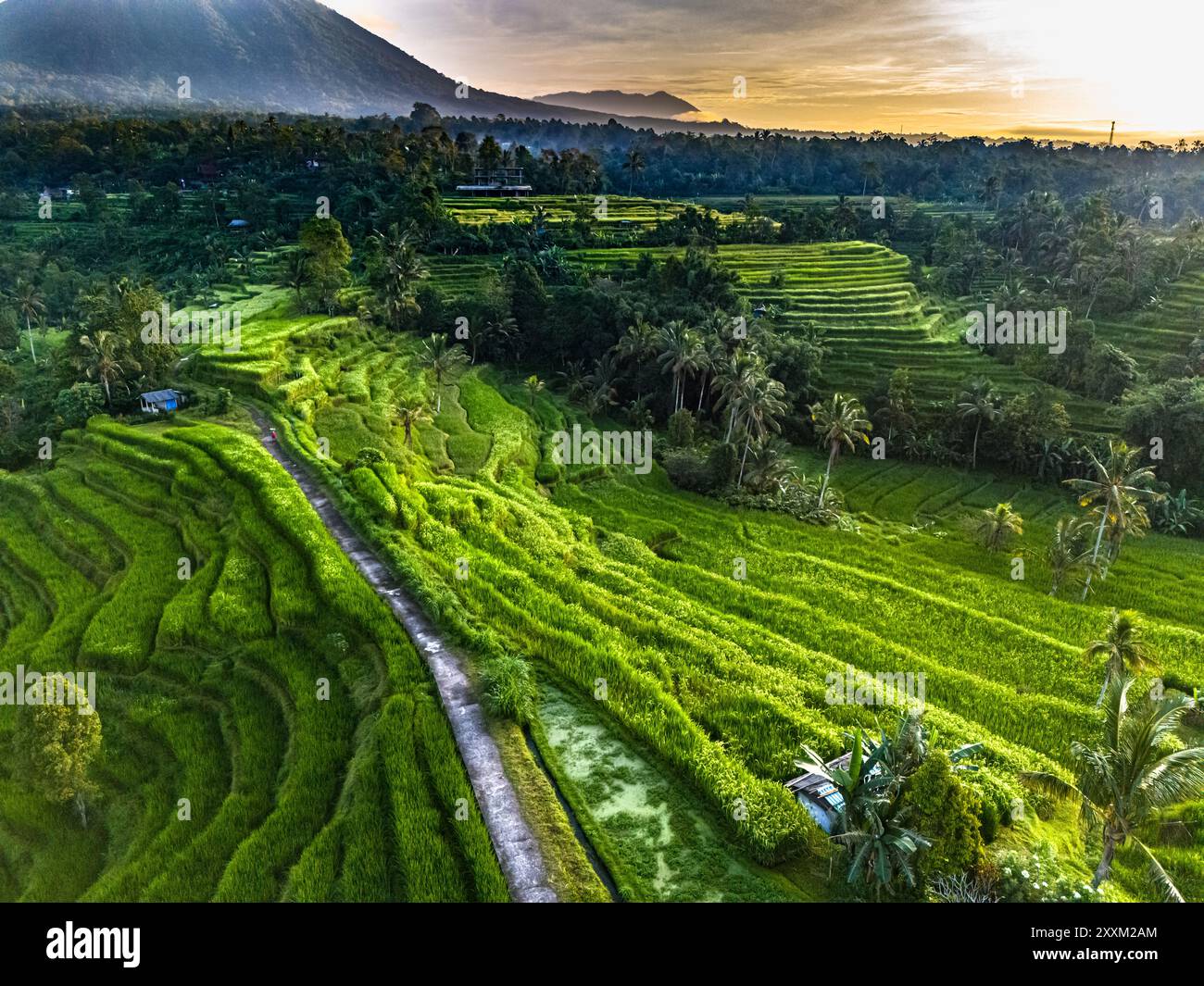 Landscape view of Jatiluwih Rice Terraces in Penebel District, Tabanan Regency, Bali, Indonesia ...