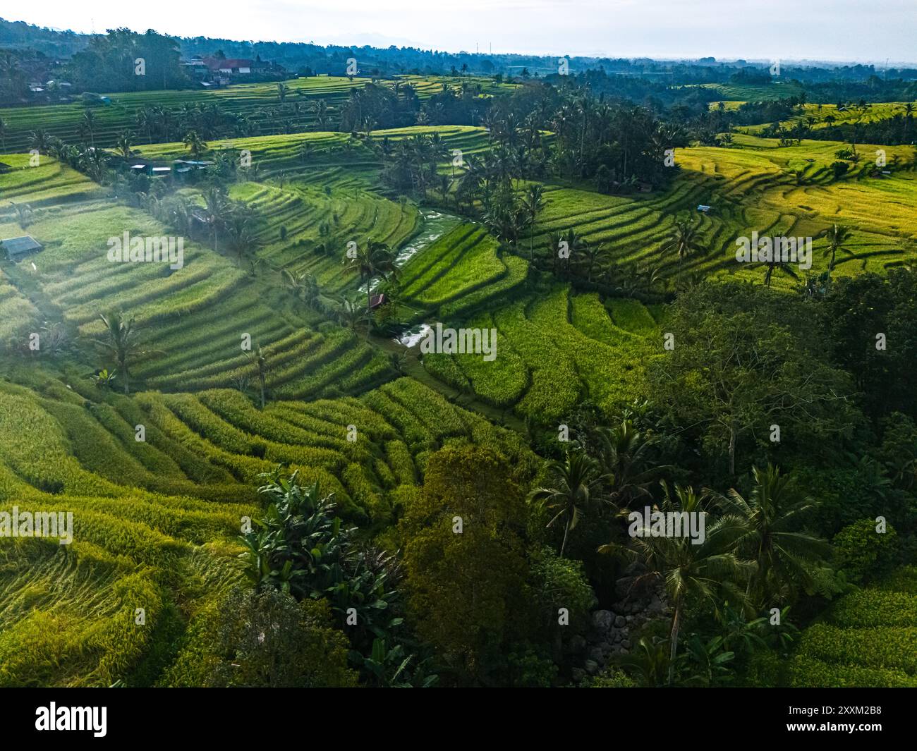 Landscape view of Jatiluwih Rice Terraces in Penebel District, Tabanan ...