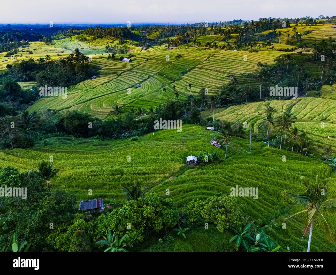 Landscape view of Jatiluwih Rice Terraces in Penebel District, Tabanan ...