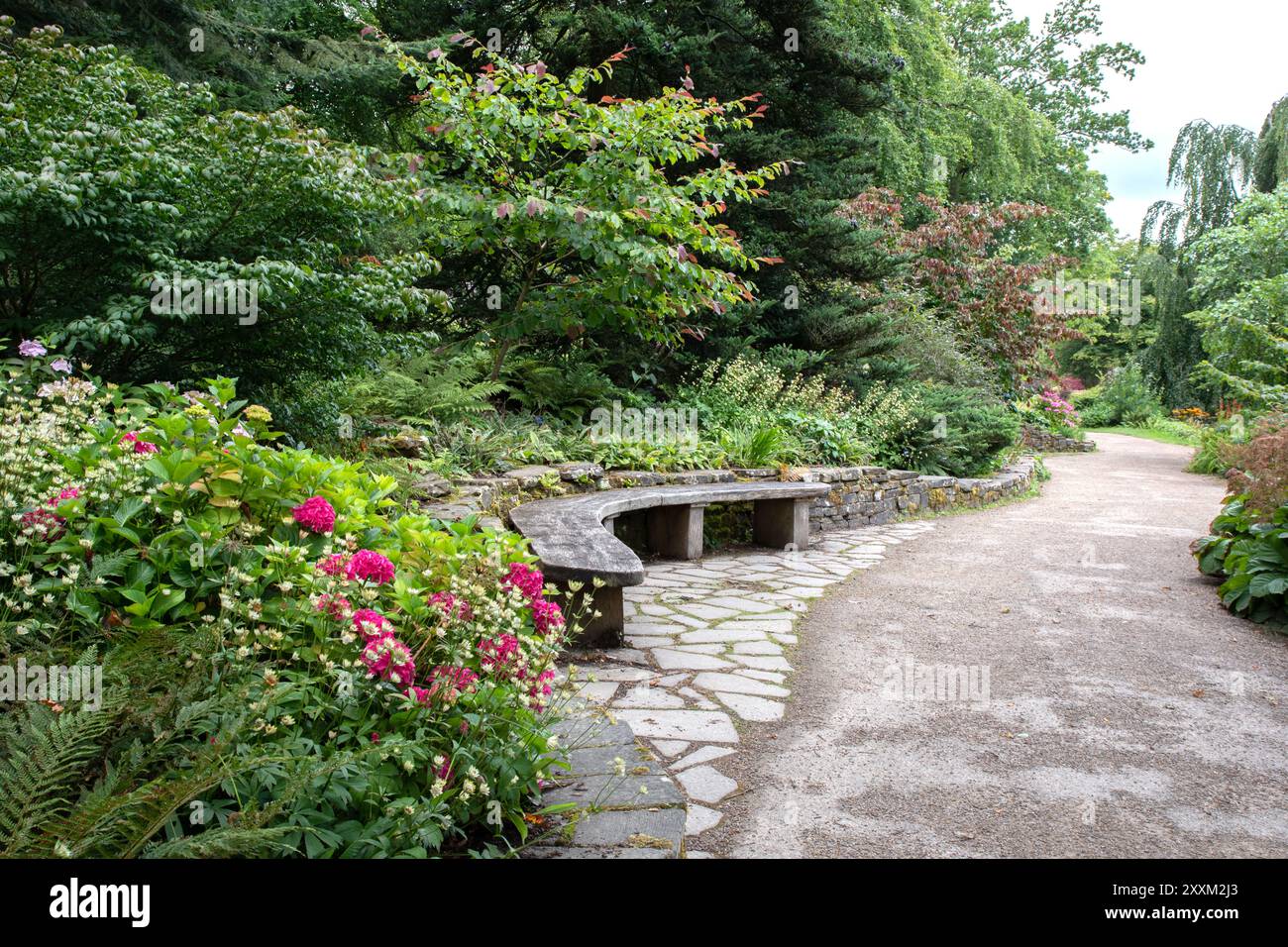 Stream side path at RHS Harlow Carr Stock Photo - Alamy