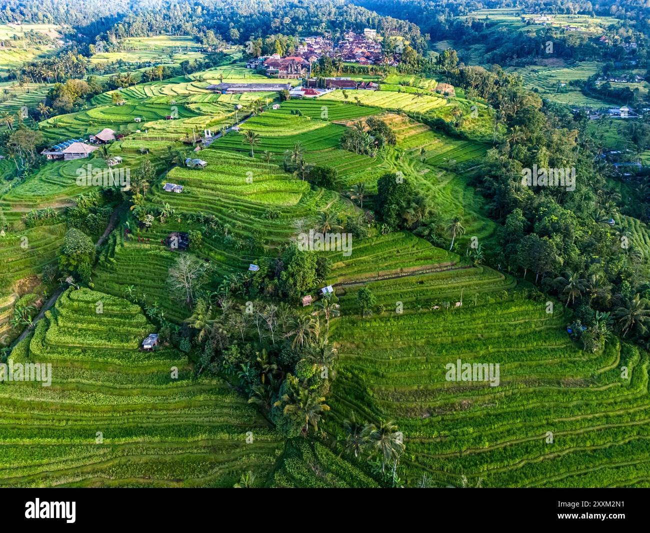 Landscape view of Jatiluwih Rice Terraces in Penebel District, Tabanan Regency, Bali, Indonesia ...