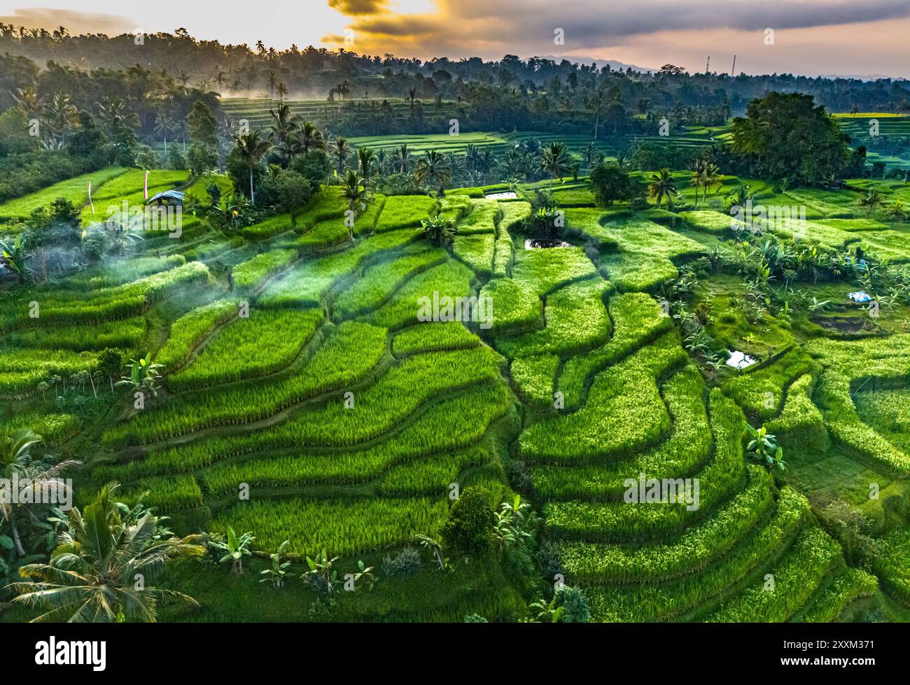 Landscape view of Jatiluwih Rice Terraces in Penebel District, Tabanan Regency, Bali, Indonesia ...