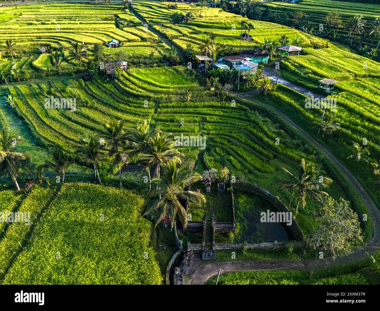 Landscape view of Jatiluwih Rice Terraces in Penebel District, Tabanan Regency, Bali, Indonesia ...