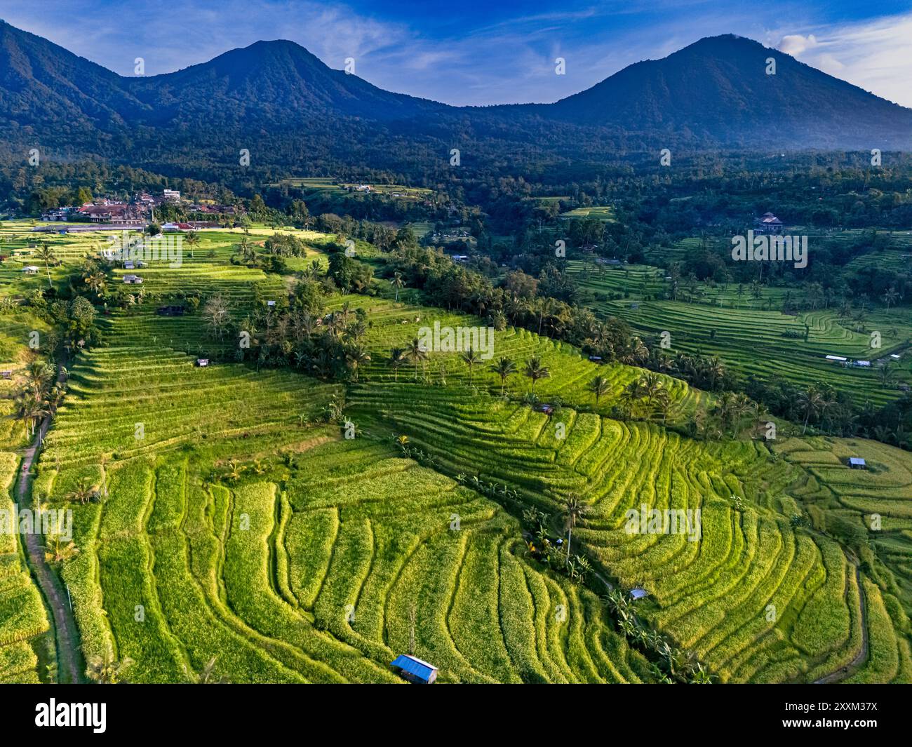 Landscape view of Jatiluwih Rice Terraces in Penebel District, Tabanan ...