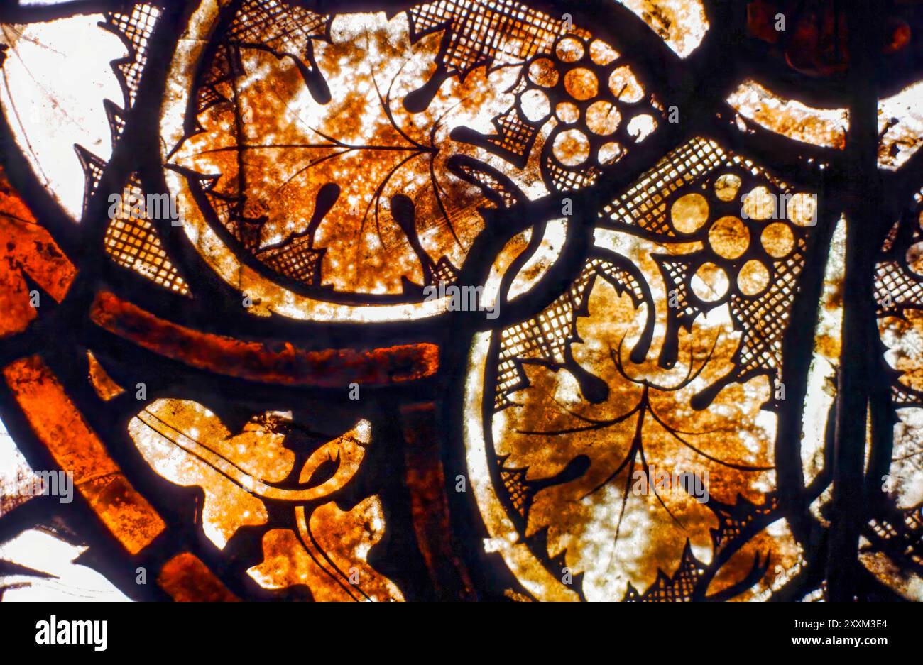 Stained glass from the Cistercian monastery Kloster Altenberg (Leaf ...