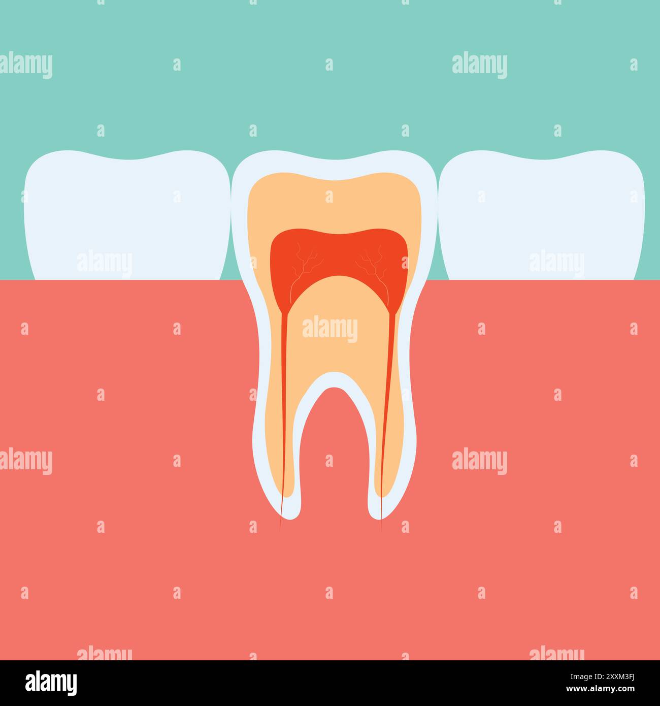 teeth cartoon vector. free space for text. wallpaper. background Stock ...